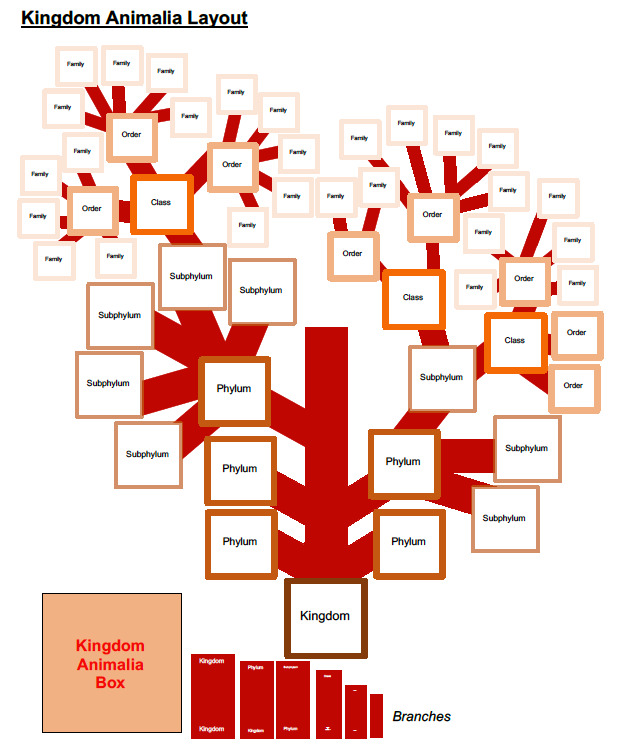 Kingdom Animalia - Classification Material – Montessori Mentor Online