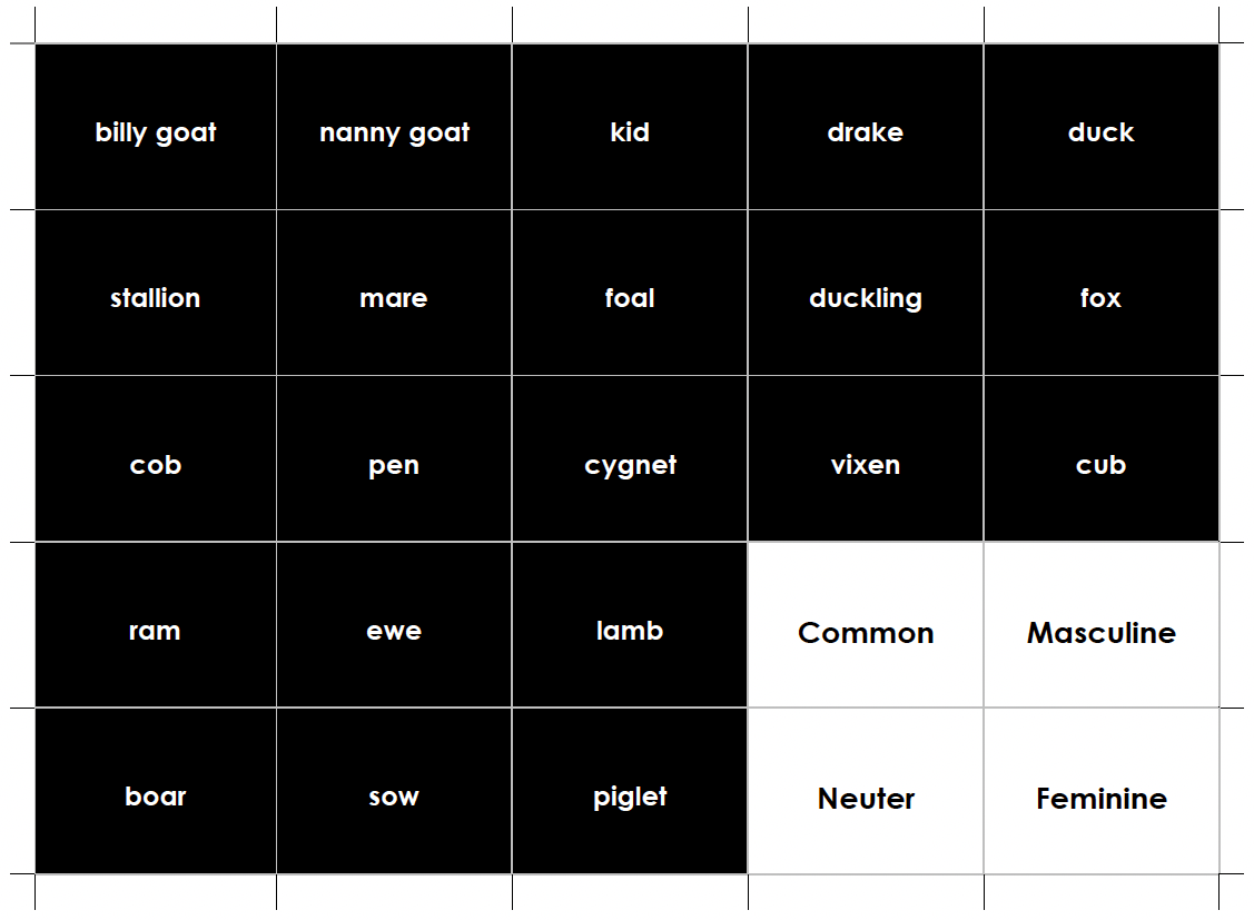 Noun Gender Card Material – Montessori Mentor Online